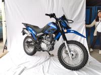 China Hot Sale Chinese powerful Motorcycles Dirt Bike 150cc/200cc/250cc for sale