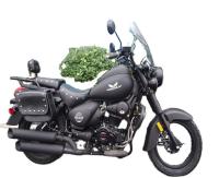 China 2021 New Style motorcycle 150CC 200CC 250cc motorbike dirt bikes for adults 125cc for sale