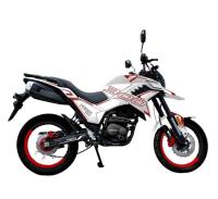 China 250cc new tekken 250cc RE250 engine motorbike hot selling wholesale Chopper Motorcycle dirt bike 250cc off road motorcyc for sale