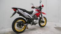 China Bolivia  Hot Sale  motorbike  250cc  Fenix New Model Cheap Import Motorcycles ZS Engine cruiser motorcycles(old) for sale