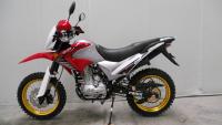 China Bolivia  Hot Sale  motorbike  250cc  Fenix New Model Cheap Import Motorcycles ZS Engine cruiser motorcycles(old) for sale