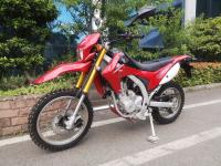 China Kick Starter Gas Powered Motorbike Racing Dirt Bike 250cc  Weather Proof for sale