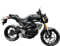 China Oil Cooled 250cc Enduro Dirt Bike Gas / Diesel Fueled Customized Color for sale