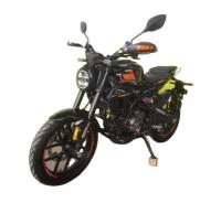 China 150CC 200cc Off Road Bike Gas Powered Dirt Bikes 120km/H Fast Speed for sale