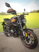 China 150CC 200cc Off Road Bike Gas Powered Dirt Bikes 120km/H Fast Speed for sale