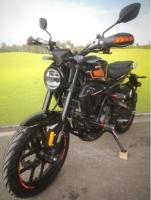 China RE250 Engine Racing Dirt Bike Motorcycle 250cc  Customizable Color for sale