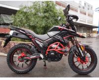 China 105 Kmph Tekken 300cc Dirt Bike Street Legal Dirt Bike Electric Start for sale