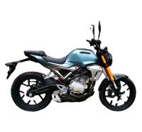 China Max Power 18kw 250CC Dirt Bike Motorcycle With 4 Stroke Engine for sale