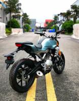 China Max Power 18kw 250CC Dirt Bike Motorcycle With 4 Stroke Engine for sale