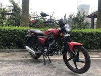 China 4 strokes motorcycle engine Street bike 50cc/70cc/90cc/110cc for sale