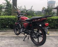 China New designed 50CC/70CC/90CC/110CC street bike Azerbaijan Popular Alpha Moto 50cc for sale