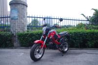 China Hot Sale Four-Stroke Classic Cheap High quality street bike 110cc for sale