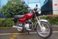 China 2019 Hot-selling popular with high quality 110cc street bike for sale
