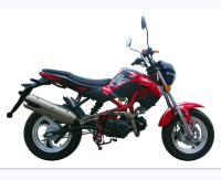 China 125cc Motorbike Street Bike for Two Person for sale
