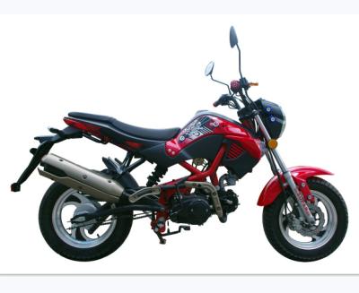 China 125cc Motorbike Street Bike for Two Person for sale