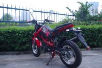 China 125cc Motorbike Street Bike for Two Person for sale