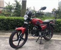China China high quality hot sale 50CC/70CC/90CC/110CC street bike Ukraine Azerbaijan Hot New Alpha Moped 50cc Motorcycles for sale