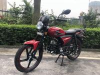 China Russia popular street legal motorcycle 110cc for sale