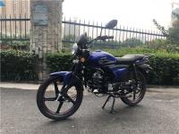 China Turkey popular high quality alpha 110cc model for hot sale for sale