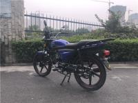 China Turkey popular high quality alpha 110cc model for hot sale for sale