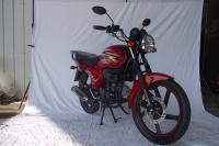 China 50CC 100CC Street bike professional motorcycles for Russia for sale