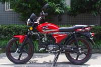 China Azerbaijan Ukraine Hot Sale 70cc 50cc moped gas motorcycle ZS engine 110cc alpha for sale