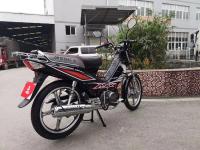 China 1 Cylinder ZS Engine 110cc 50cc Gas Dirt Bike Super Cub Bike Cool Design for sale
