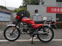 China Safety CDI Ignition 50cc Street Legal Motorcycle Weather Proof for sale