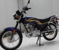 China Unique Design 110cc 125cc Street Bike Motorcycle 8.5Kw Various Color for sale