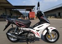 China wholesale EEC oem Peru SUMO Hot Selling 4 stroke Cheap powerful motorcycle 125CC cub 110cc motorcycle motorbike for adul for sale