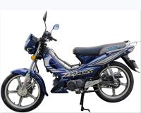 China 2019 Factory Direct Sale High Quality Classic cub 110cc for sale