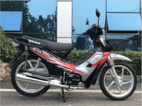 China ZS Engine 110CC Motorcycle  Fashion  Motorcycle  Super Cub Moto 110CC Cheap Import Motorcycles for sale