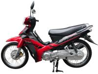 China Chongqing high quality  hot Selling 4 stroke 100cc 110cc 125cc motorbike cub motorcycle for sale