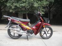 China Zongshen Engine 125CC Motorcycle Cheap Chinese Super  Cub 125CC Tuvalu Hot Sale 110CC Cub Moto for sale