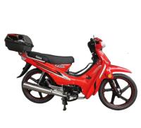 China LIFAN 125CC Motorbike Popular Classical 110CC Cub Motorcycle  Double Cluth Cheap China  motorcycle for sale
