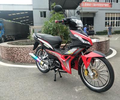 China 2019 New Design 110cc cub motorcycles with Disc Brake for sale
