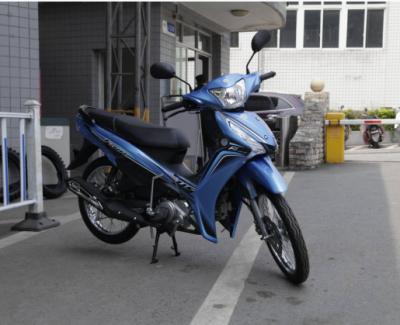 China 50cc 110cc other motorcycle cub model for sale