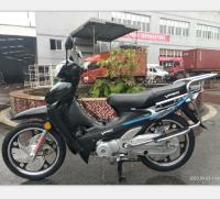 China 2022 Hongli eec ZS new 100 50cc 110cc New MOTOR 125CC electric motorcycle cub for sale