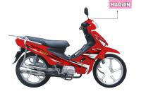 China oem EEC 4 stroke  hongli  haoji lifan engine cheap import motorcycle 125CC 110CC  Cheap ZS Engine Cub Motorcycle for sale