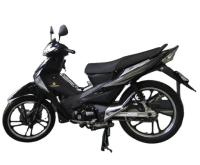 China Lucky Plus gasoline Delivery 50cc/110cc/125cc mini EEC Super Lady/Ladies Cub Motorcycle for African for sale