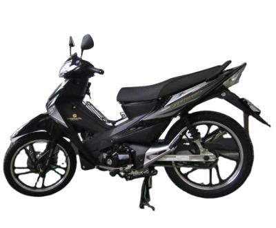 China Lucky Plus gasoline Delivery 50cc/110cc/125cc mini EEC Super Lady/Ladies Cub Motorcycle for African for sale