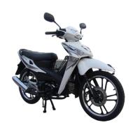 China Lucky Plus gasoline Delivery 50cc/110cc/125cc mini EEC Super Lady/Ladies Cub Motorcycle for African for sale