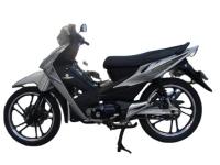 China Lucky Plus gasoline Delivery 50cc/110cc/125cc mini EEC Super Lady/Ladies Cub Motorcycle for African for sale