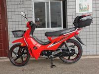 China Lifan Engine 110CC Cub Motorcycle Tuvalu Nauru Hot Sale 125CC Super Cub Moto Cheap Import Motorcycle for sale