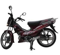 China Tunisia Popular Moto Forza MaxSCI GSM MAXi i FTM110CC  110CC 50cc bikes 125cc Chinese Cheap gas bikes Cub motorcycle for sale