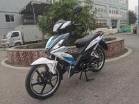 China Azerbaijan Ukraine hot sale 125cc super cub motorcycle 110cc motorcycle cheap import motorcycle 125cc ZS engine for sale