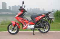 China Powerful Engine 4 Stroke 125cc Street Legal Motorcycle 501W - 1000W for sale