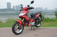 China Powerful Engine 4 Stroke 125cc Street Legal Motorcycle 501W - 1000W for sale