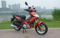 China Powerful Engine 4 Stroke 125cc Street Legal Motorcycle 501W - 1000W for sale