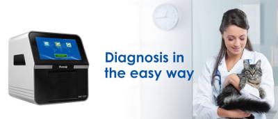 China Animal Blood Coagulation Analyzer , High Accuracy Veterinary Chemistry Analyzer for sale